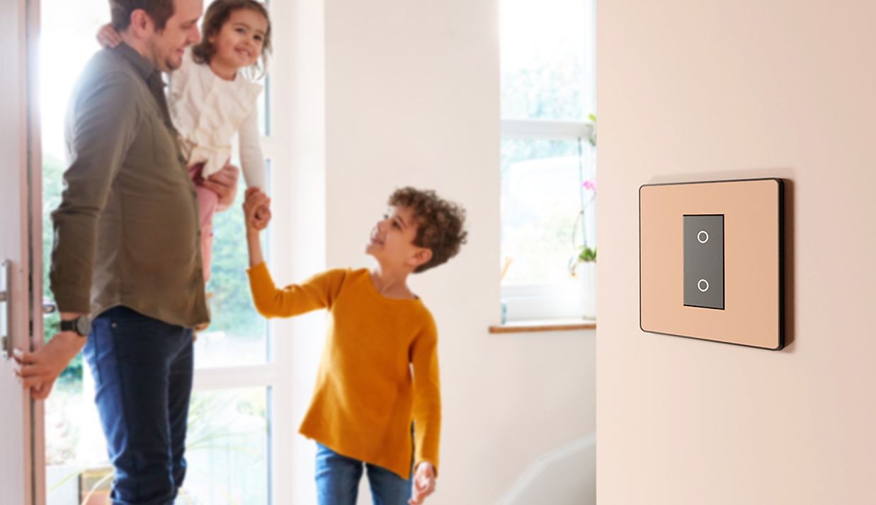 Decorative Wiring Accessories